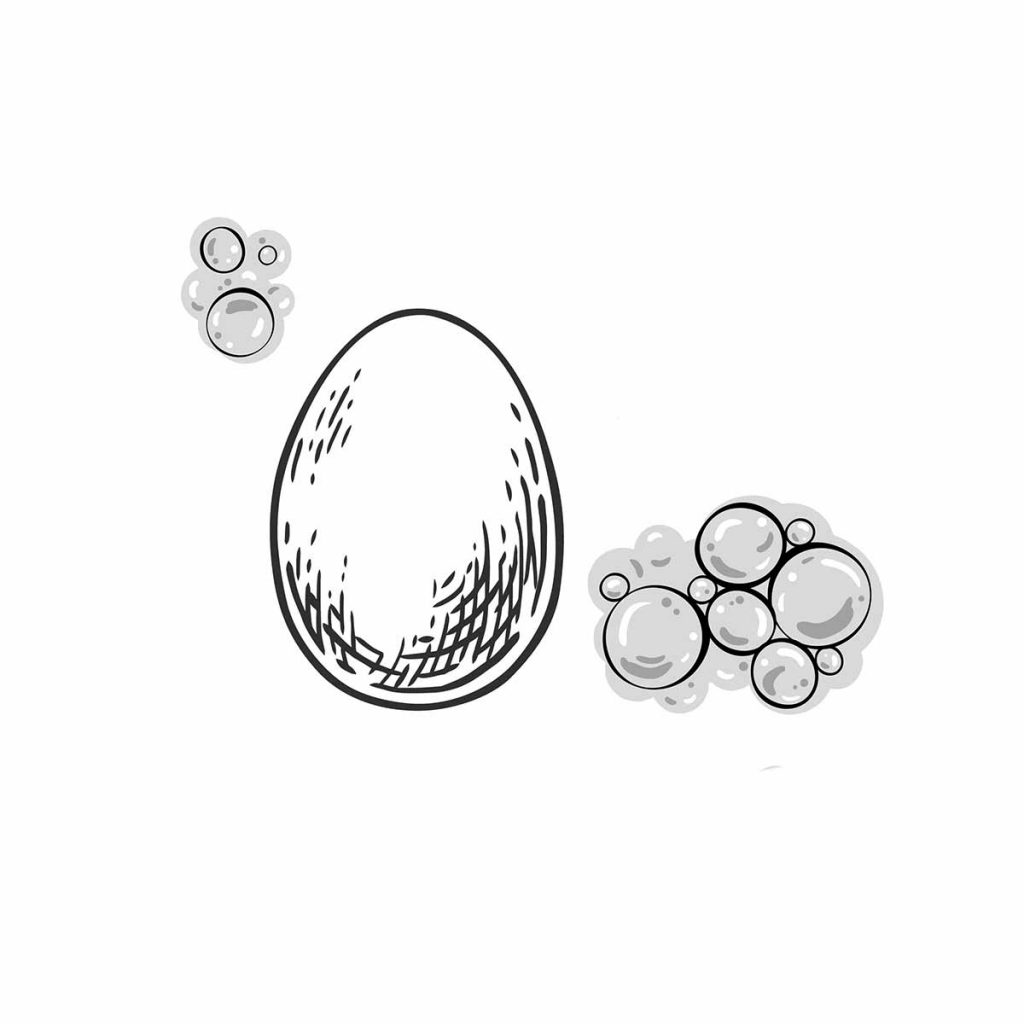 Egg Sanitation and Disinfectants - ME International